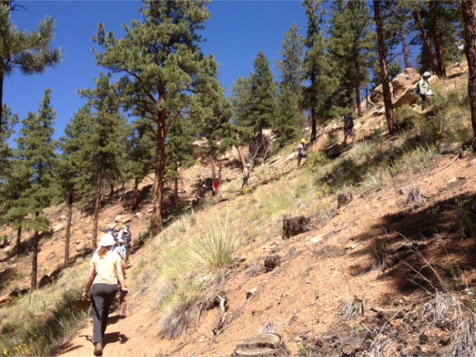 Recreation – cusp.ws