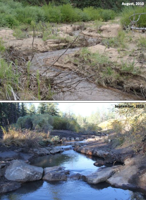 River Restoration | Coalition for the Upper South Platte