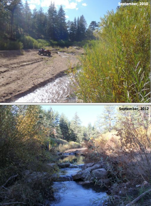 River Restoration | Coalition for the Upper South Platte