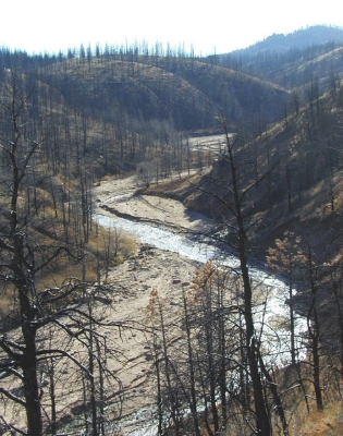 Hayman Fire – Coalition for the Upper South Platte
